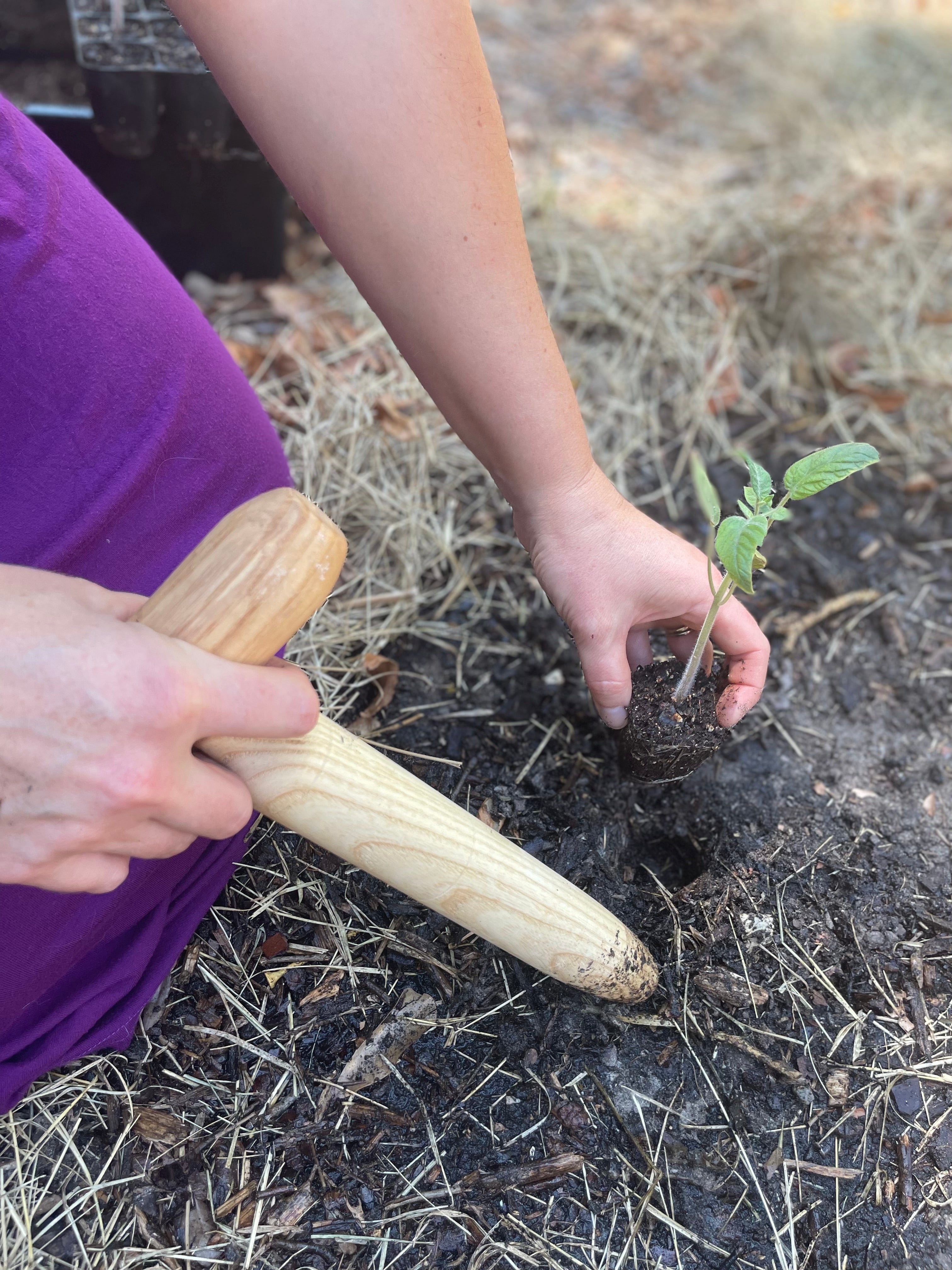 12" Ash Dibber – All About The Garden