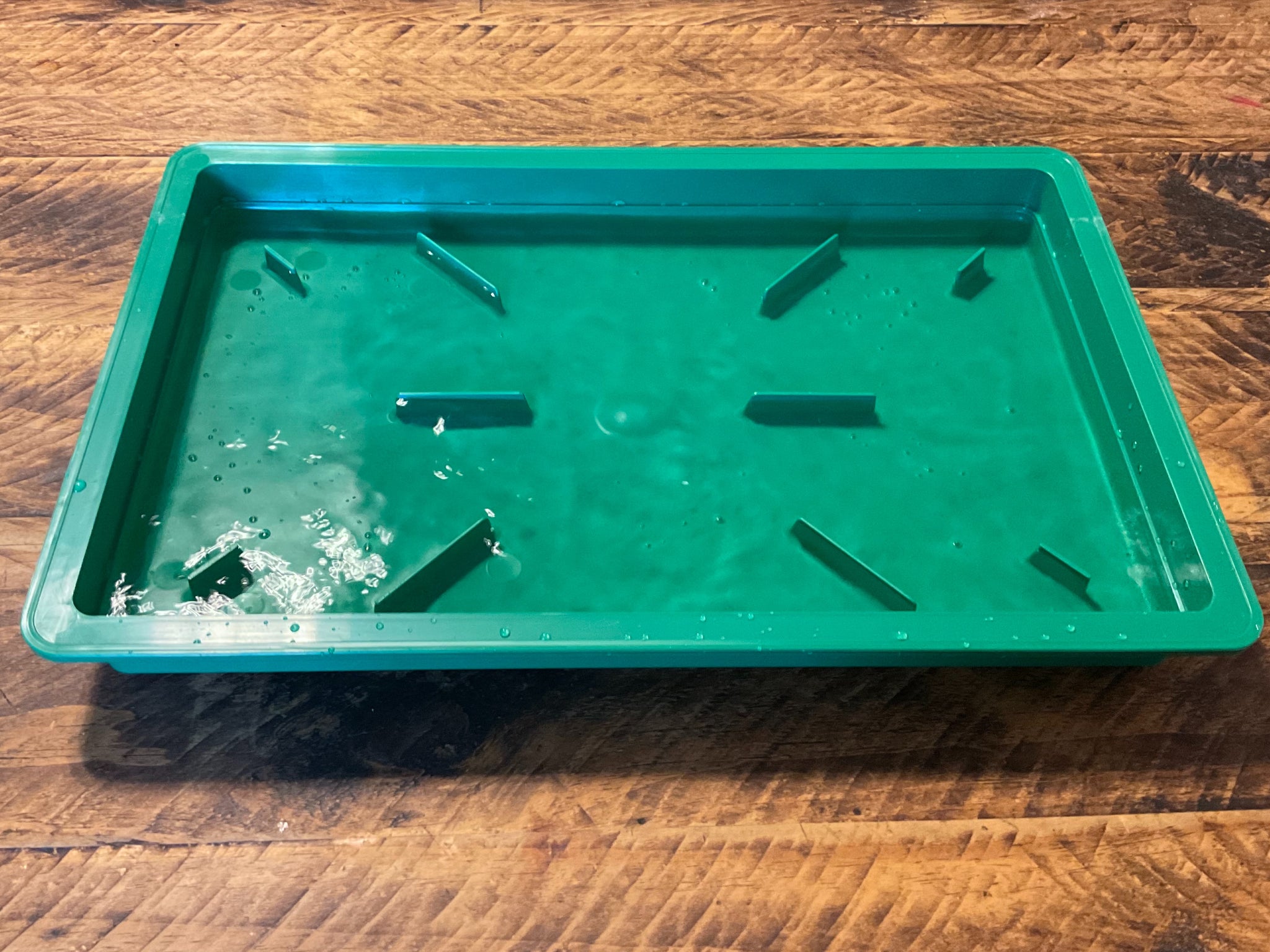 Bottom Watering Trays – All About The Garden