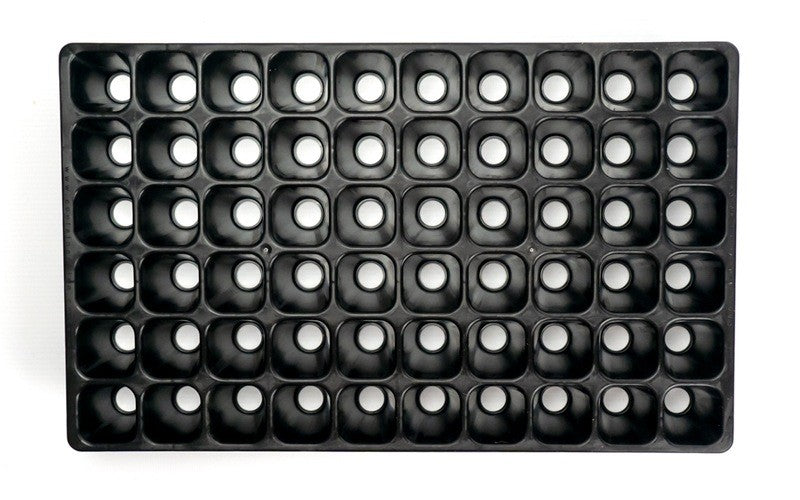 Containerwise Charles Dowding CD60 Module Tray – All About The Garden